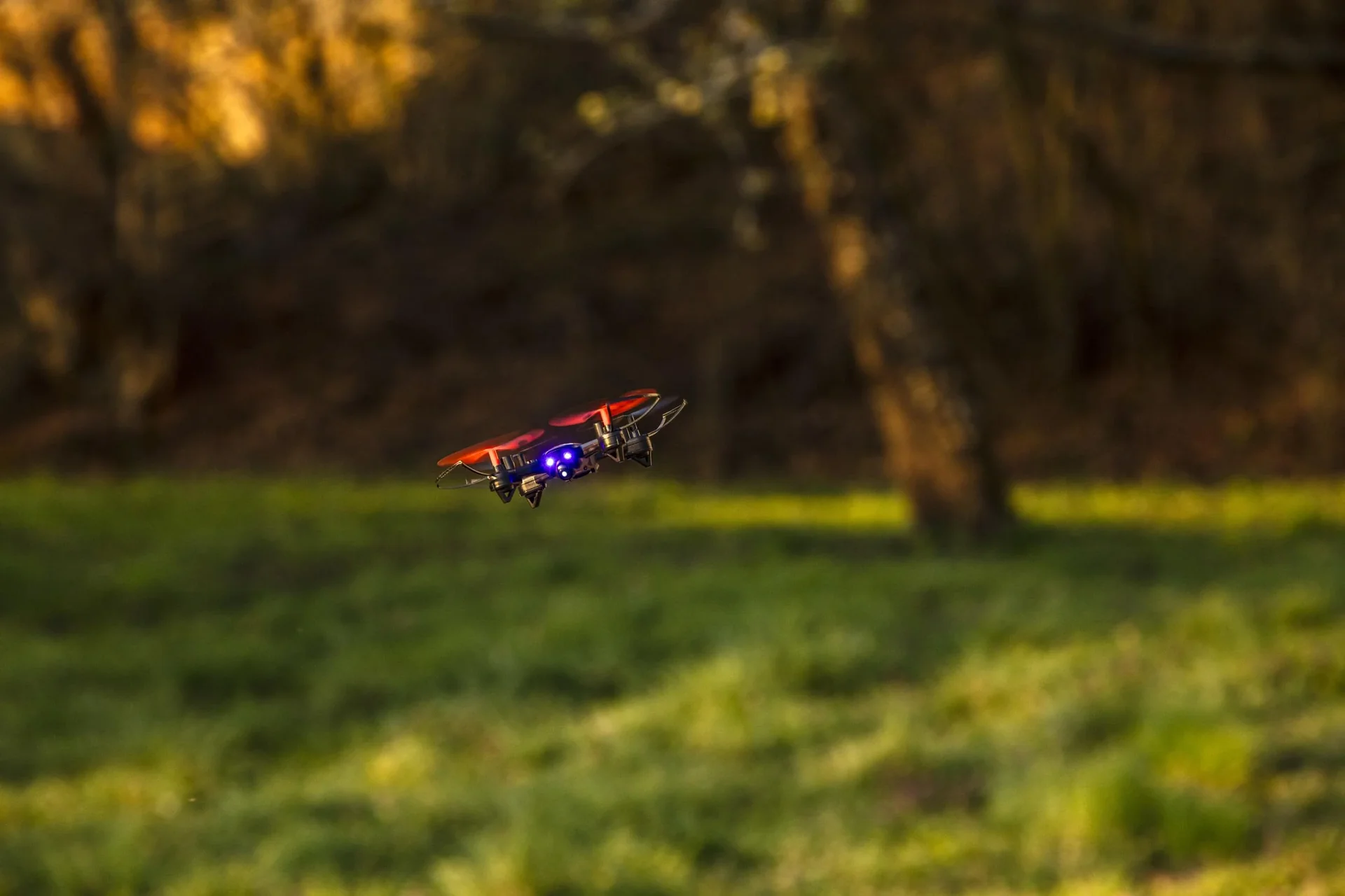 Quadcopter X4 Angry Bug 2.0 100 % RTF | Westfalia